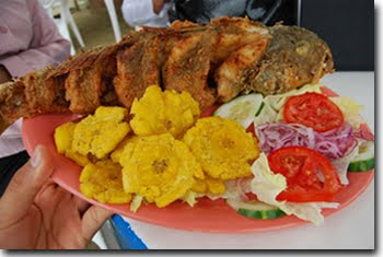 Manabí Noticias en Línea: LA COMIDA TÍPICA MANABITA