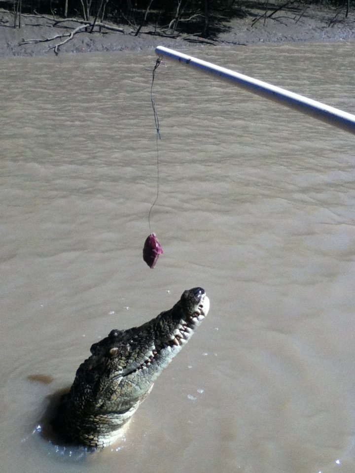 Scheffer Family's Great Aussie Adventure - 2013: 4 June 2013 – Humpty ...