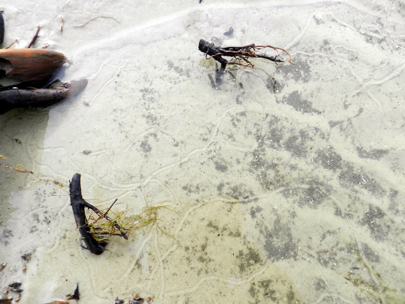 Coffee With Hallelujah: REVERB11:AT THE MICRO OR MACRO PERSPECTIVE ...