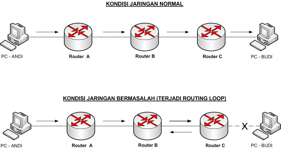 Routing Loop & TTL ~ All About Networking