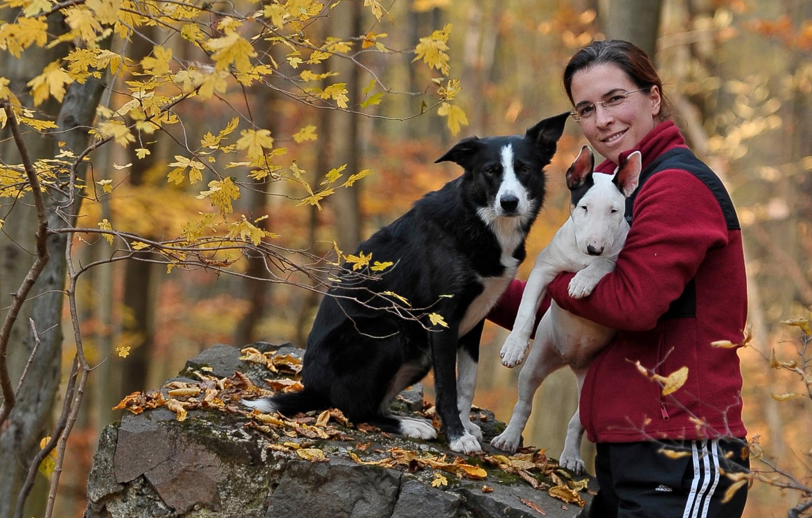 Agility Facility: Anna Eifert International Handling seminars!