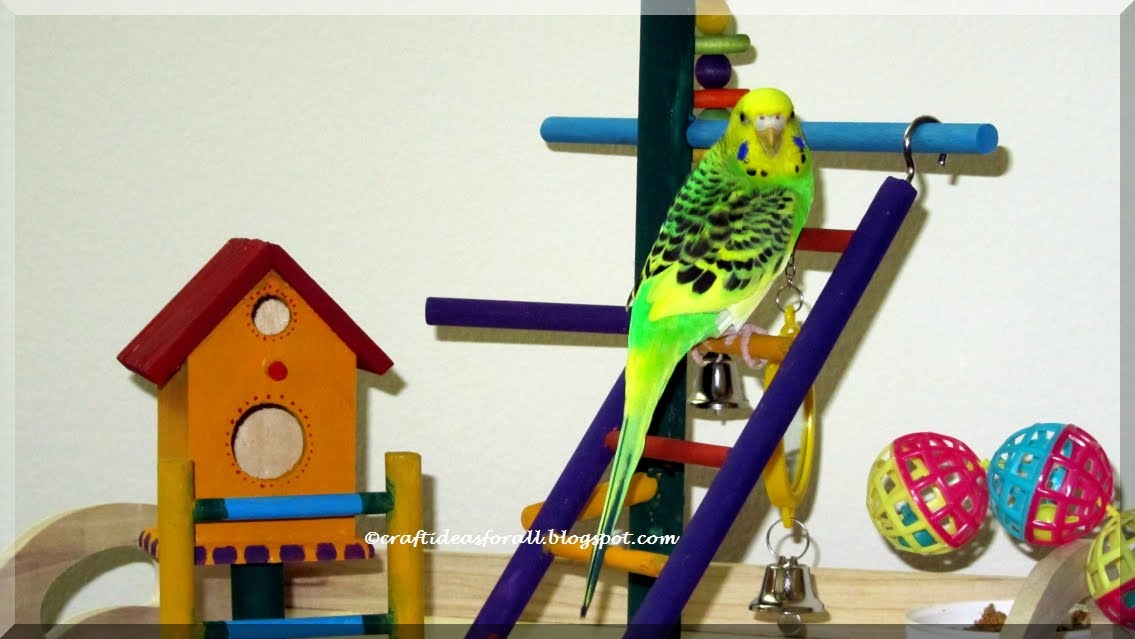 Craft Ideas for all: 2011