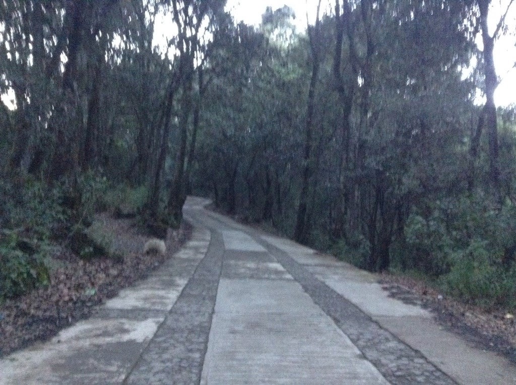 municipio de jilotzingo