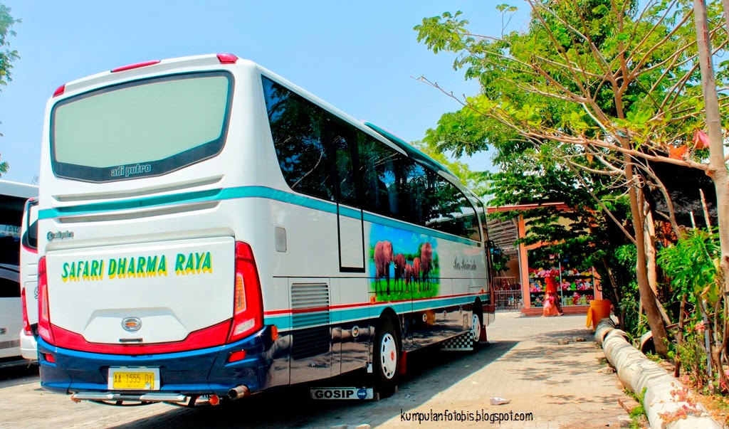 Foto Bis Safari Dharma Raya OBL Jetbus 2 HD Pariwisata - Kumpulan Foto Bis