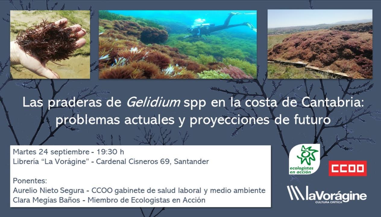 El Robledal de Todos: "La caloca: Problemas actuales y proyecciones de ...