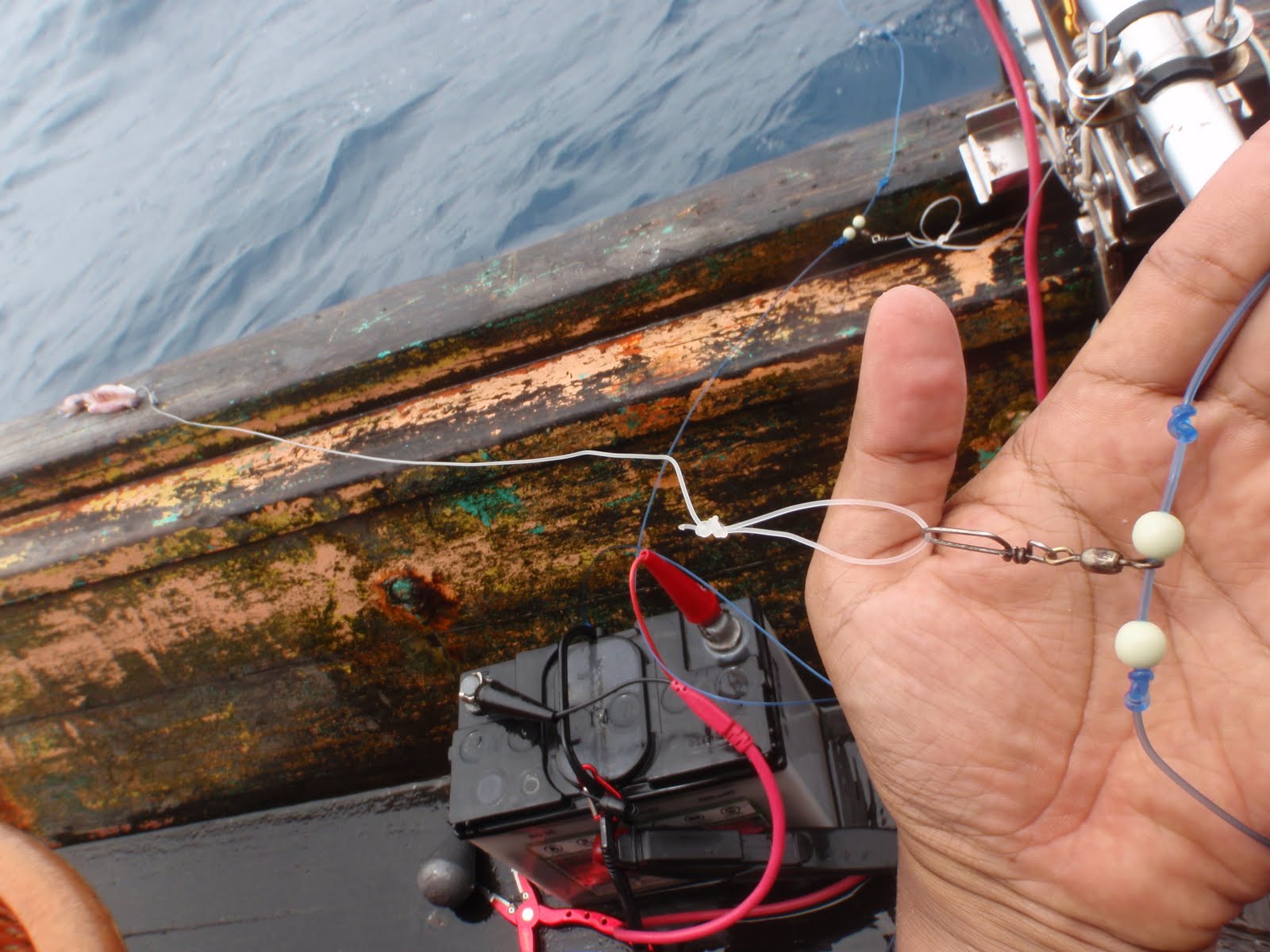 Memancing @ Fishing: Jenis Jenis Perambut