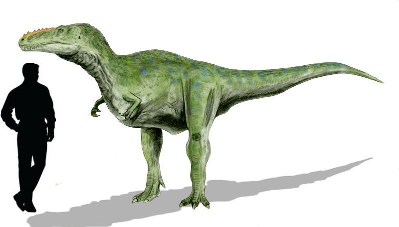 Los animales en la prehistoria: Animales prehistóricos con la letra A