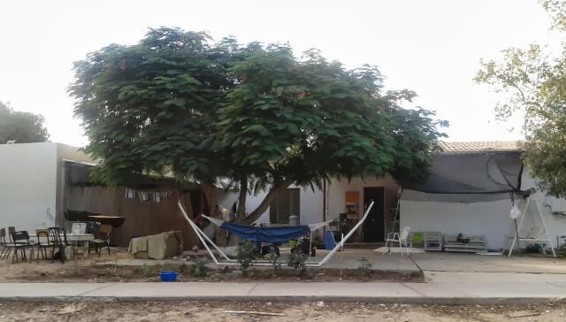 Anna's Antics: First few days in Kibbutz Ein Hashlosha!