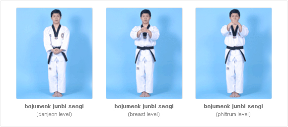 Kuda-kuda pada Taekwondo ~ Putra's Blog