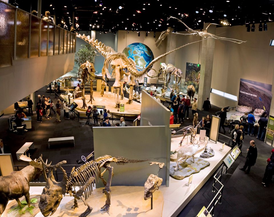 TIERRA DE DINOSAURIOS: El Perot Museum of Nature and Science, un nuevo ...
