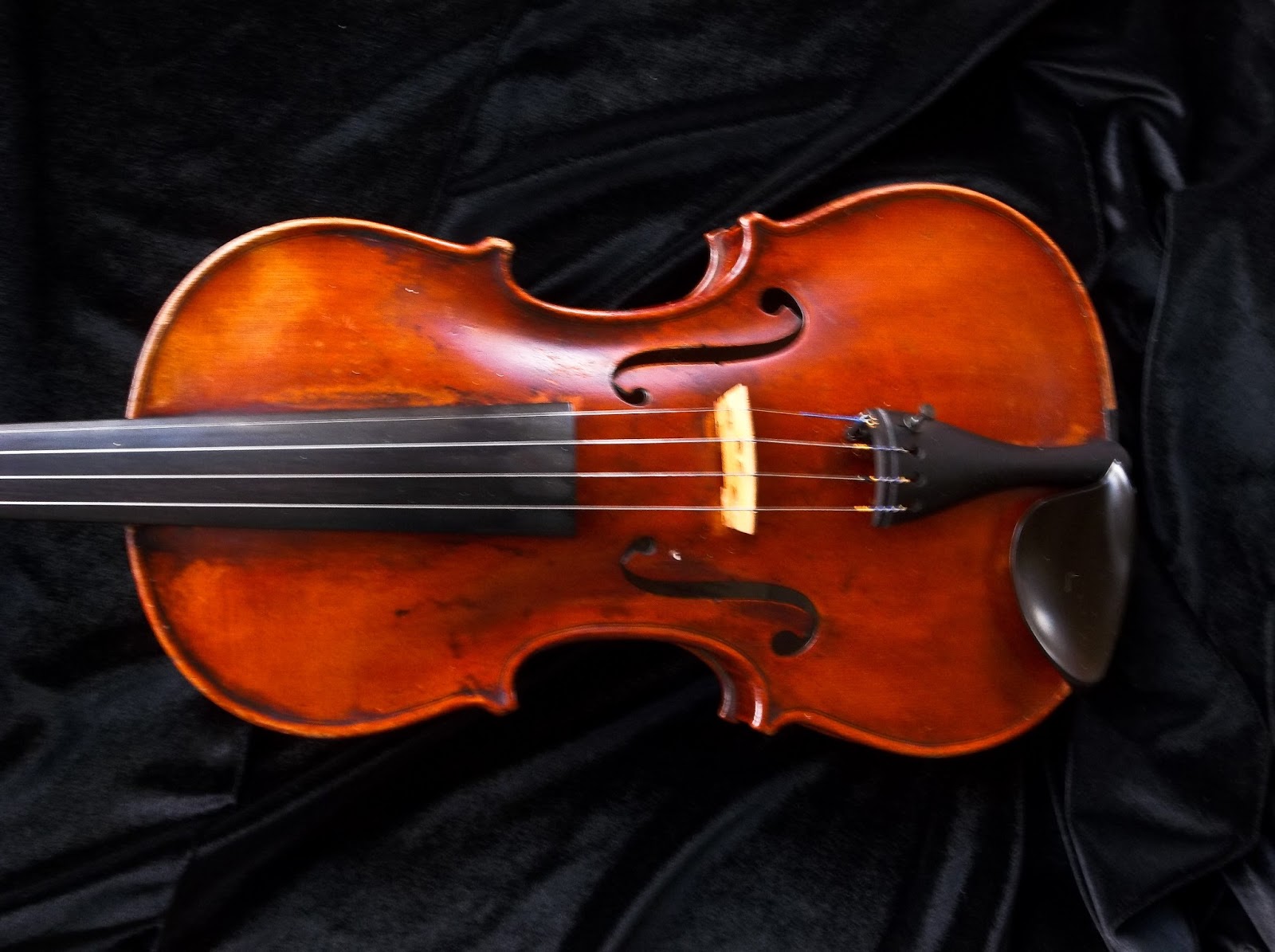 Violins of Plymouth: Restoration of Philip P. Wolan violin