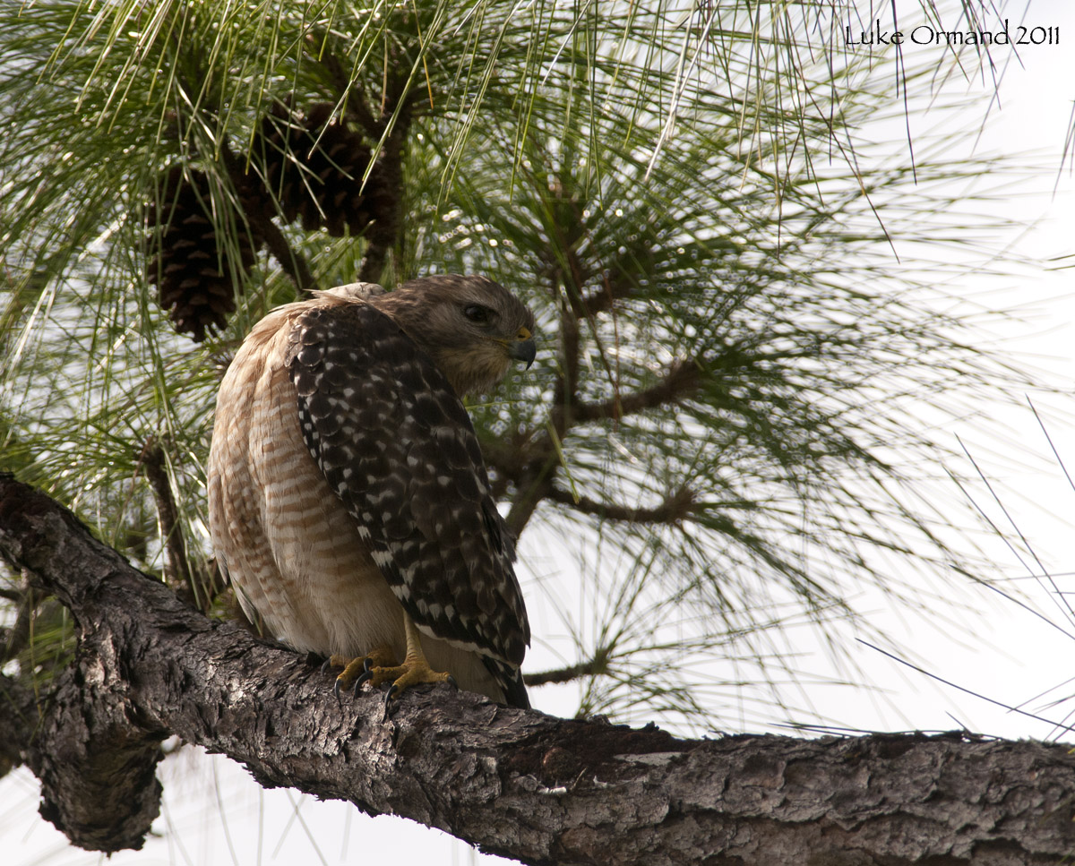 Welcome to. . .: Palm Beach County Vacation