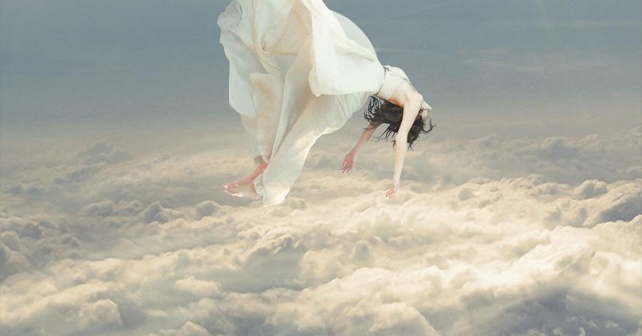 She Makes The Rules: Terminal Velocity