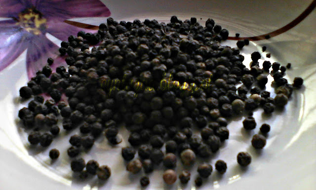 Khasiat Lada Hitam - Hidup Untuk Memberi Manfaat