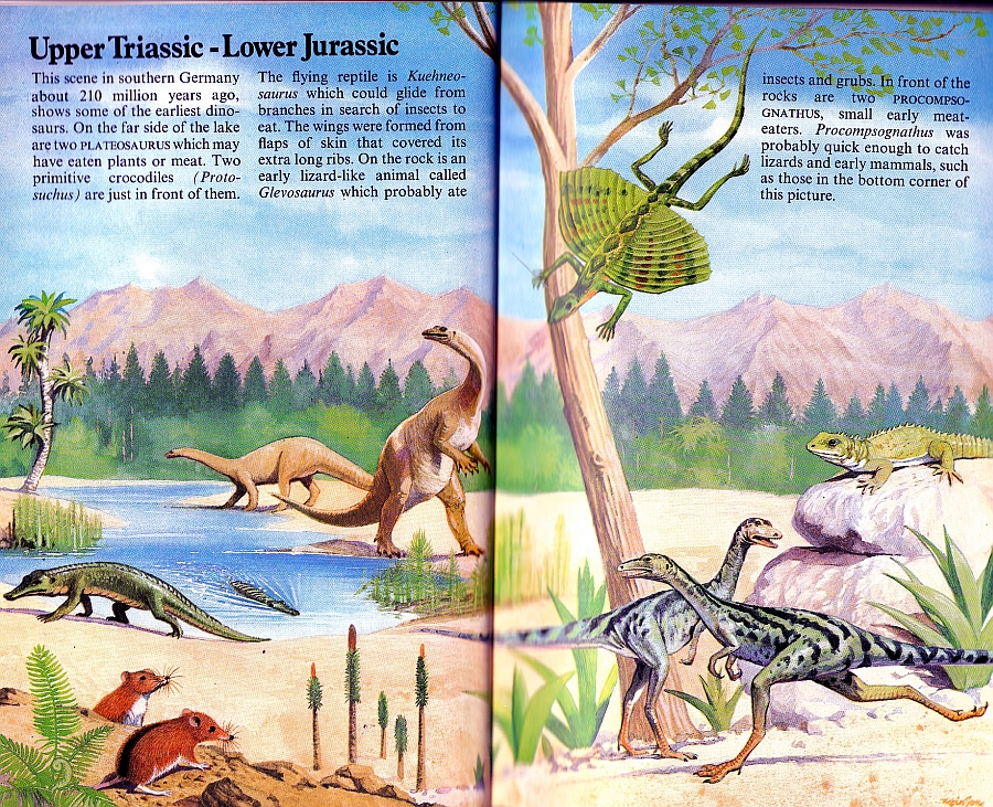 Love in the Time of Chasmosaurs: Vintage Dinosaur Art: Pocket Book of ...