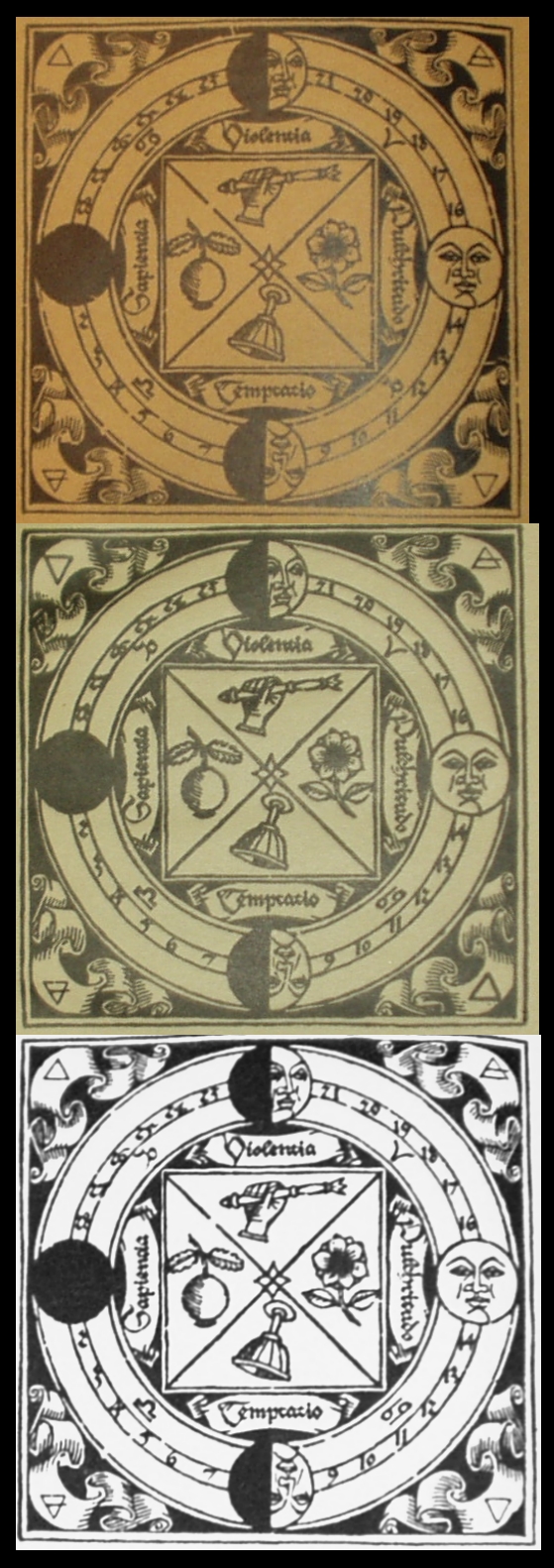 The Widening Gyre: 2011