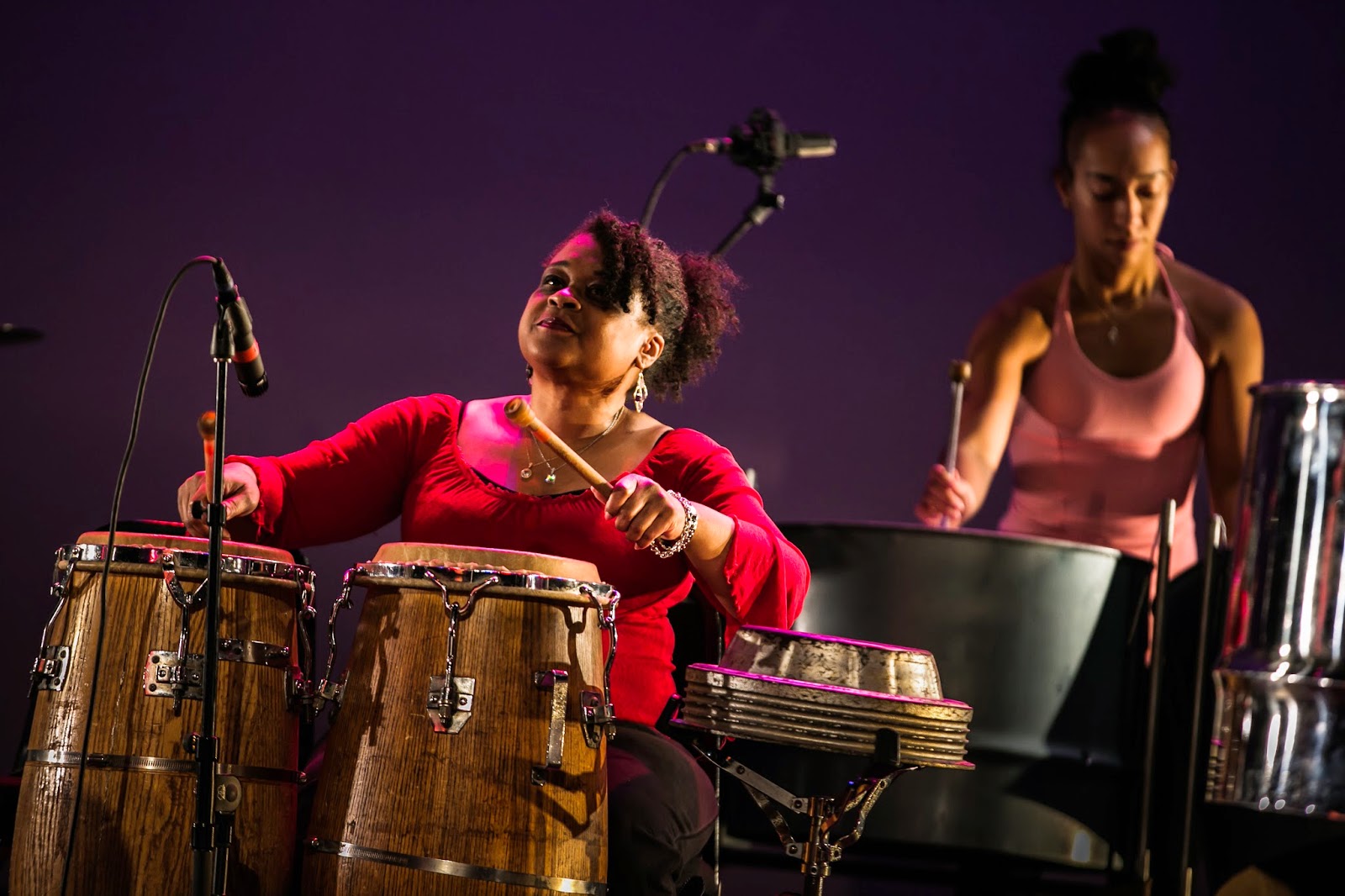 The Seattle Women's Steel Pan Project: About Us