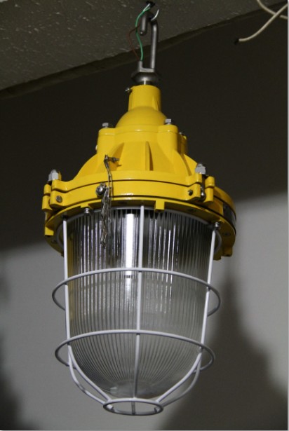 Supplier Explosion Proof Indonesia: Pendant Light Fittings Explosion ...