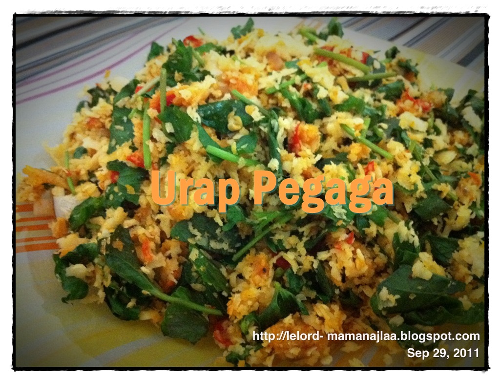 Hari Ni Menu Urap Pegaga & Sotong Bakar | Mama Najlaa Punya