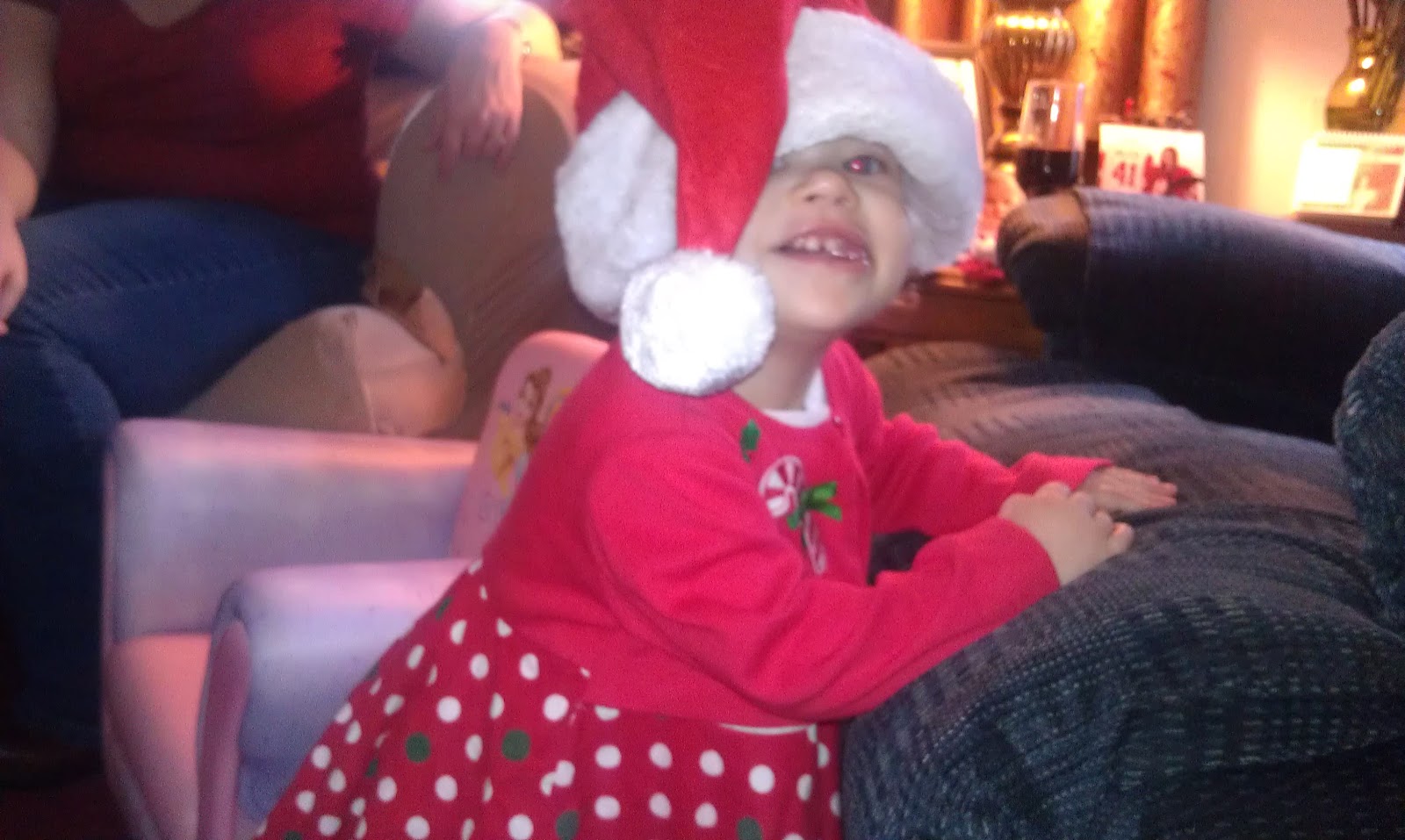 Dandelion Wishes: Christmas in Review