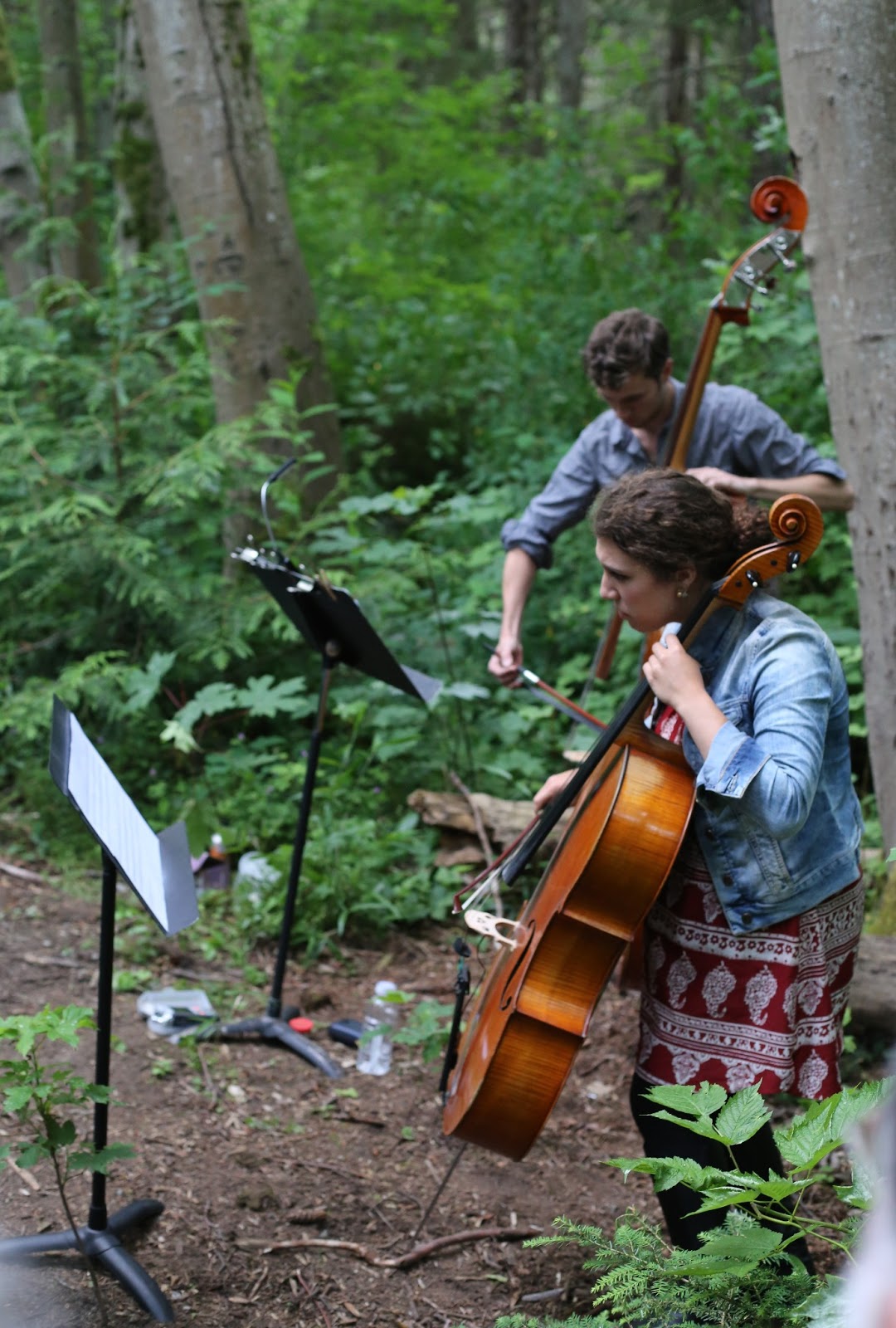 Monkey Puzzle Blog: Forest Concert