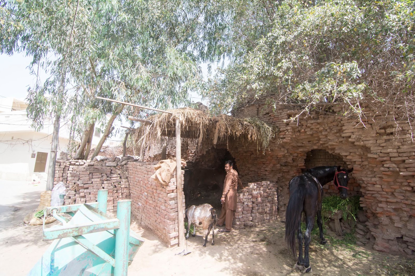 Ali Usman Baig : Sher Shah Suri Fort in Tulamba & History of Town 2018