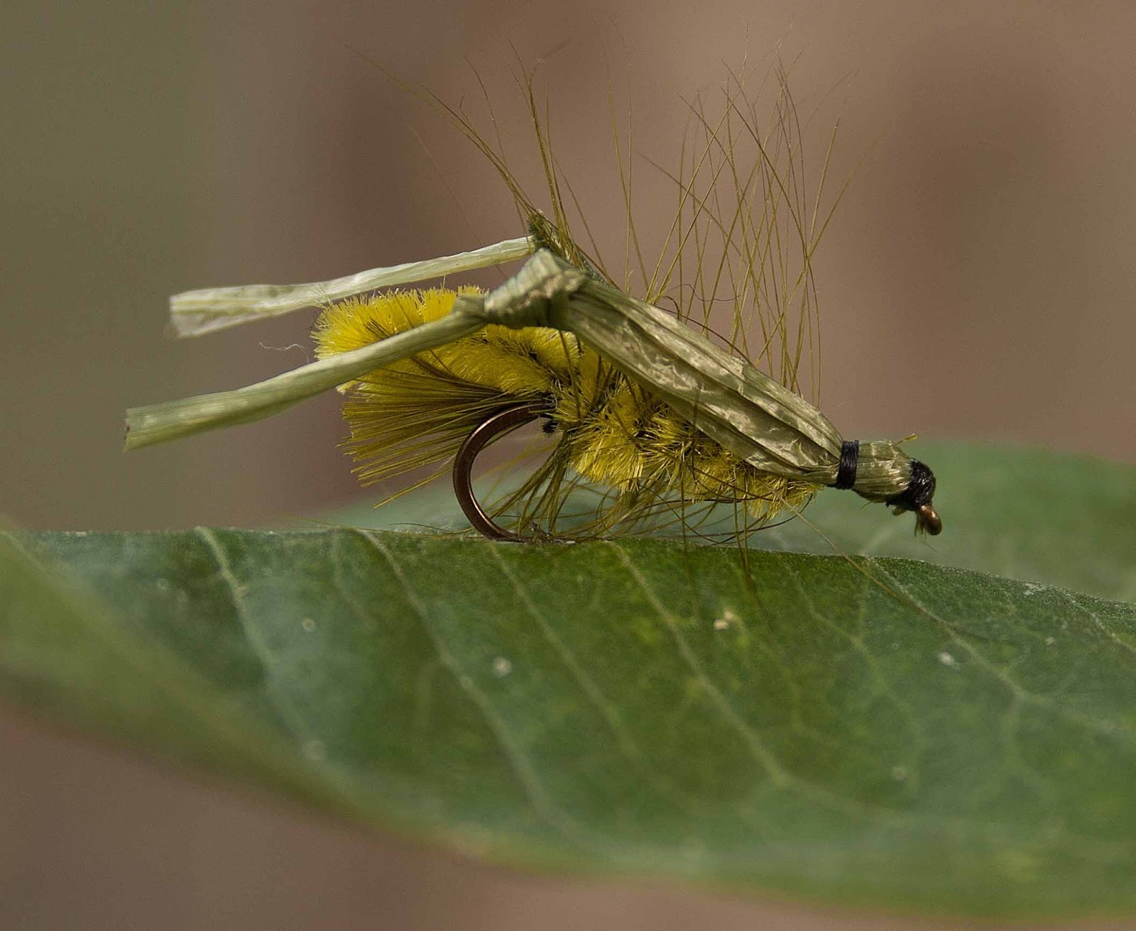 Tom Keith's Fly Fishing Journal