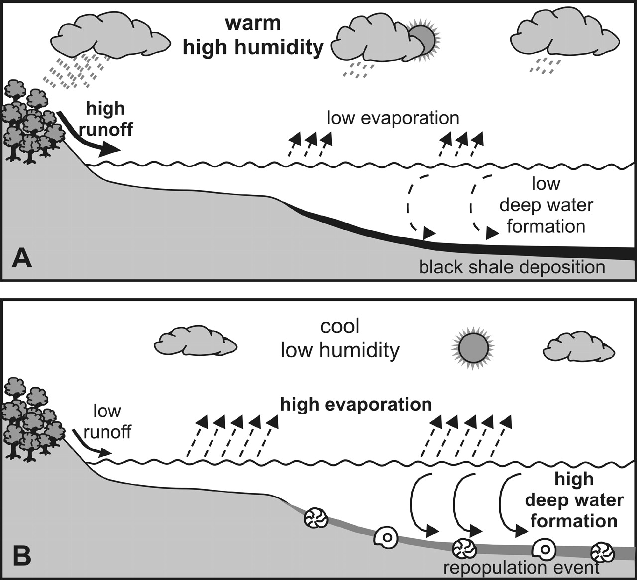 Learning Geology: Oceanic Anoxic Event (OAE)