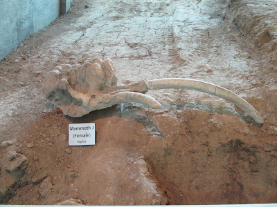 Stuckasaurus: Waco Mammoth National Monument