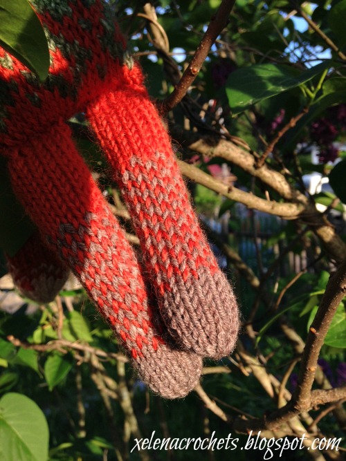 Xelena crochets: Intrepid Fox - Бесстрашный Лис