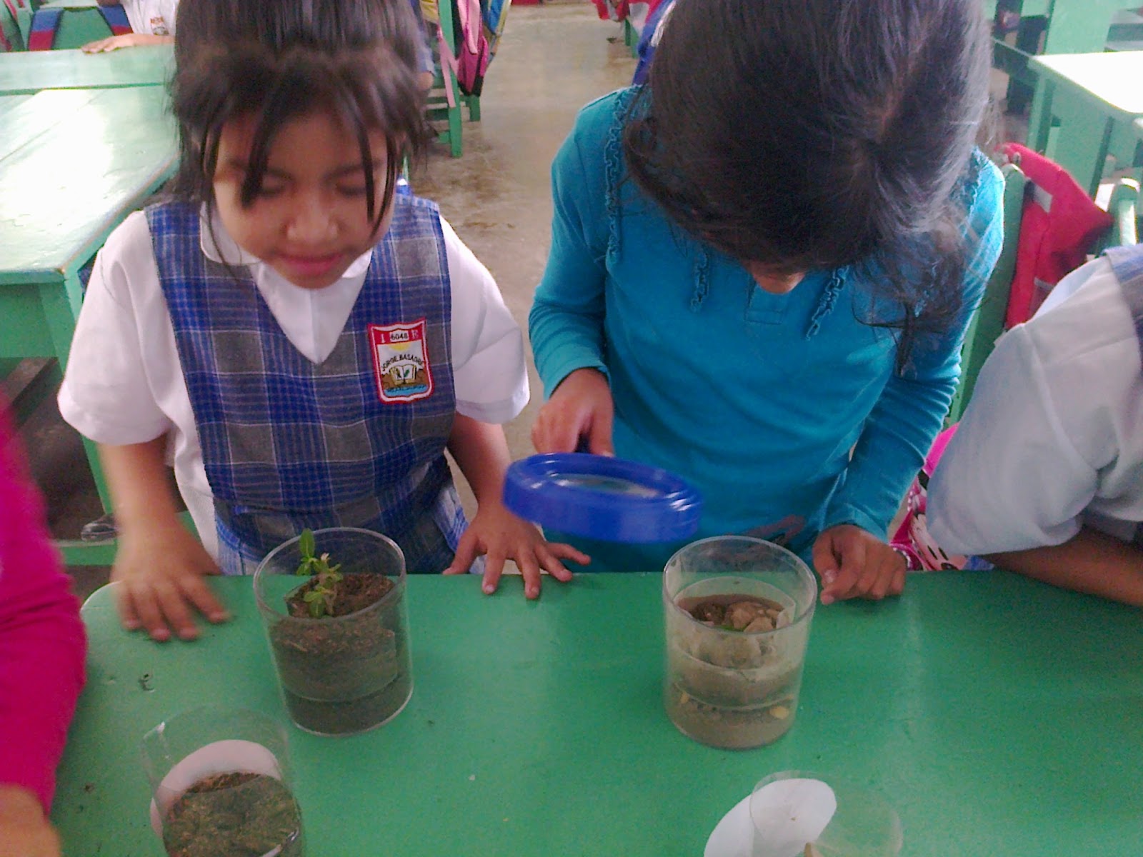 Esperimentar en ciencia y ambiente: octubre 2015