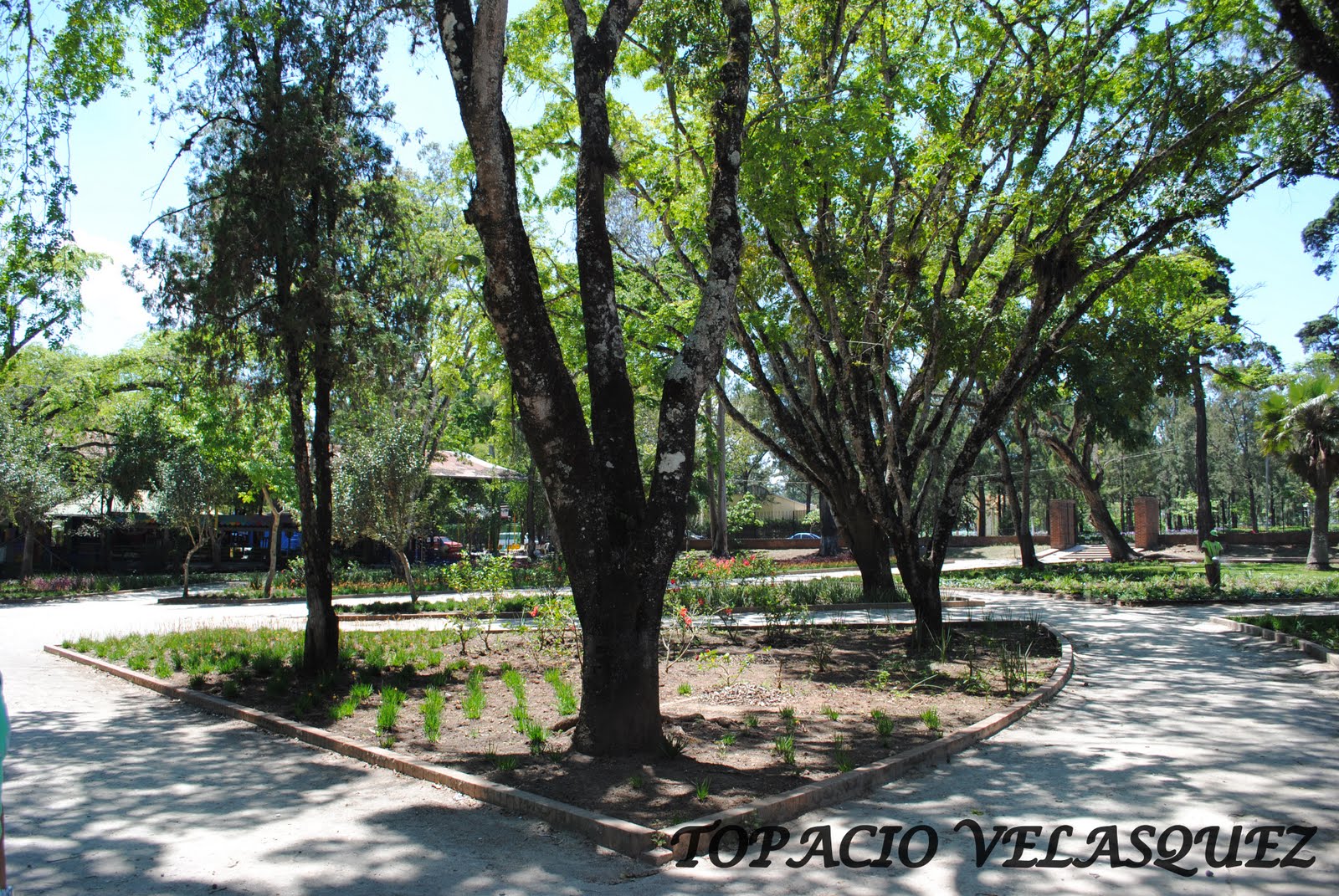 FOTO DOCUMENTAL: PARQUES DE GUATEMALA
