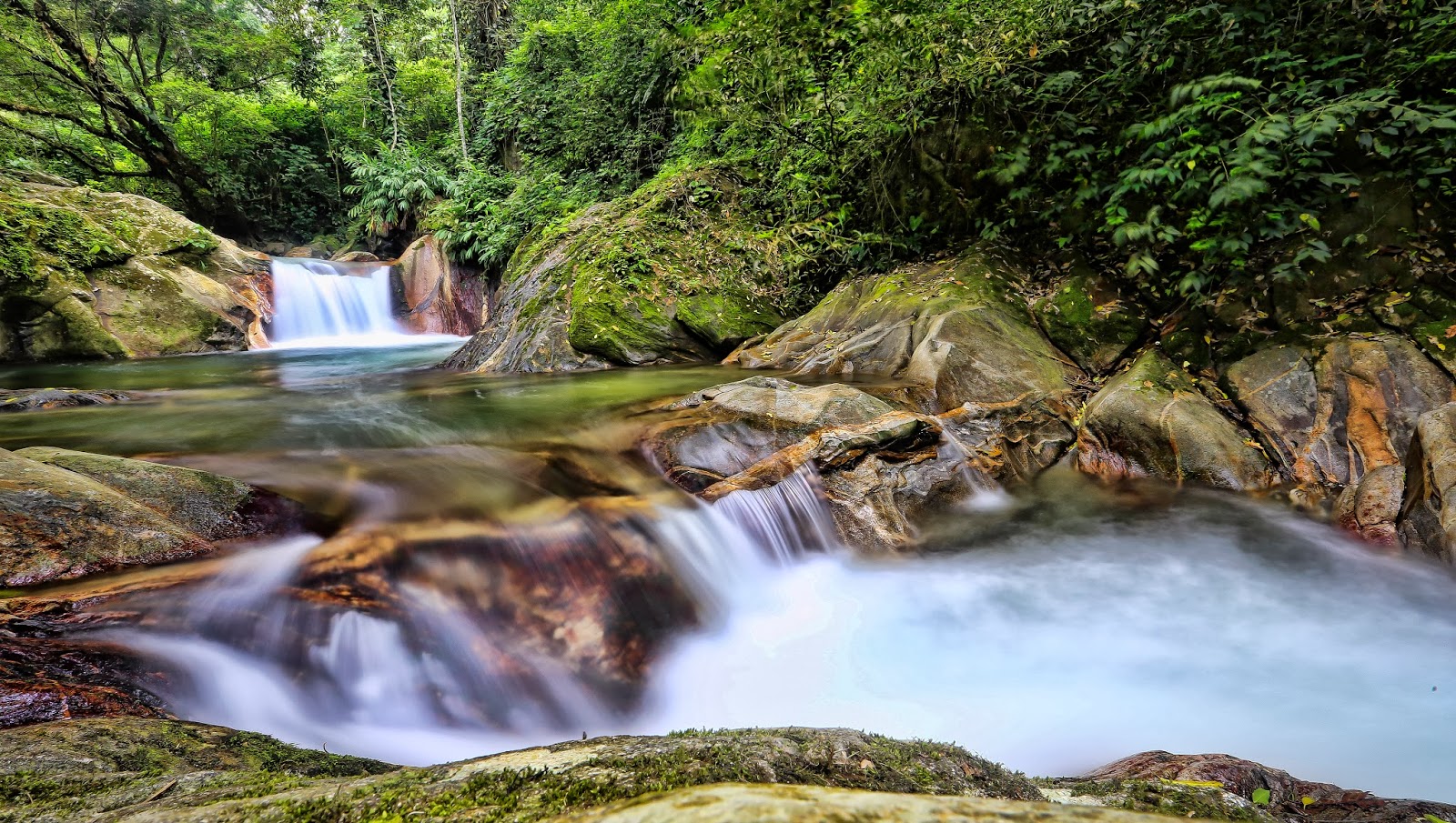 OFF THE BEATEN TRACK: Colombia / Minca