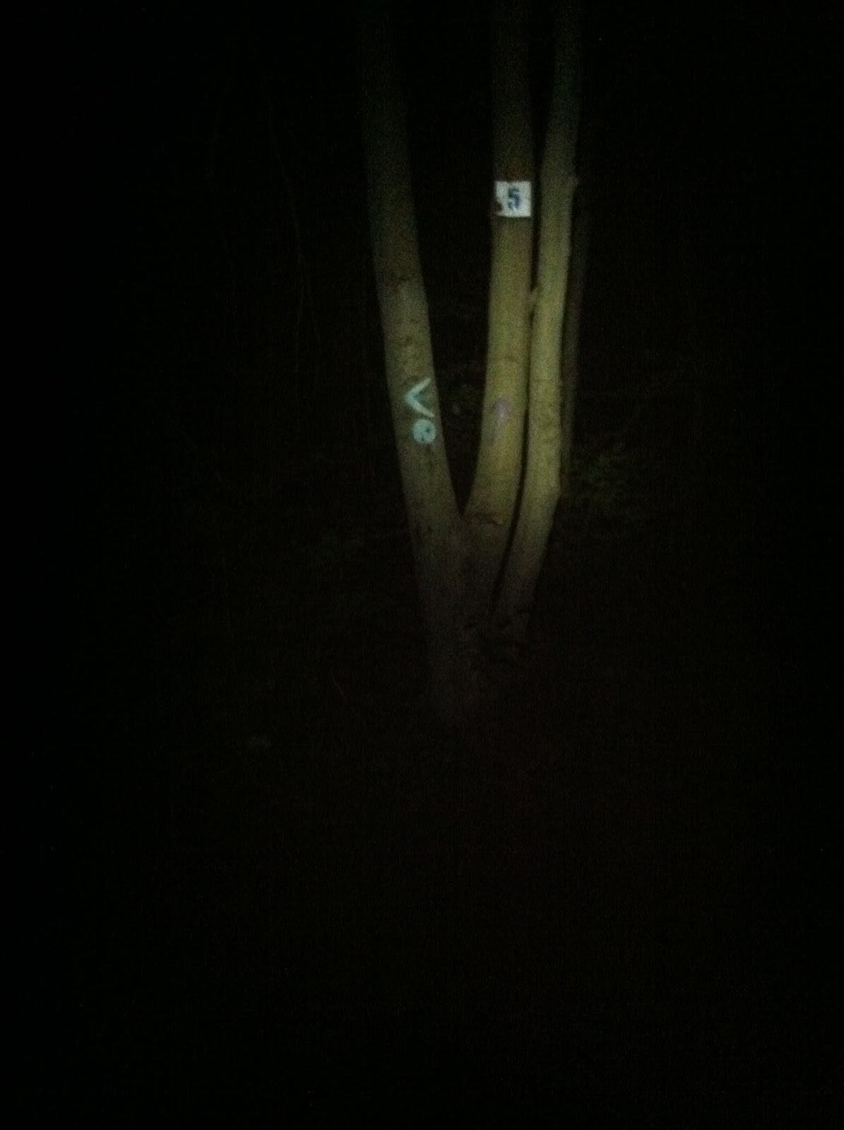 Early Morning Trails: Monoosnoc Trail End to End to End/Traverse ...