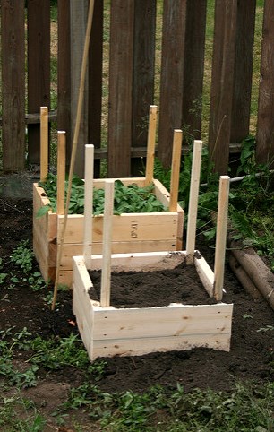 The Best Method for Growing Potatoes - Proverbs 31 Homestead
