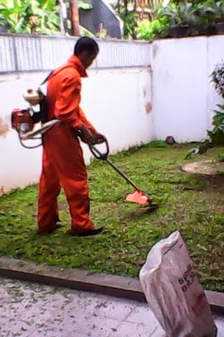 Tukang potong rumput jakarta | tukang potong rumput bogor, bekasi ...