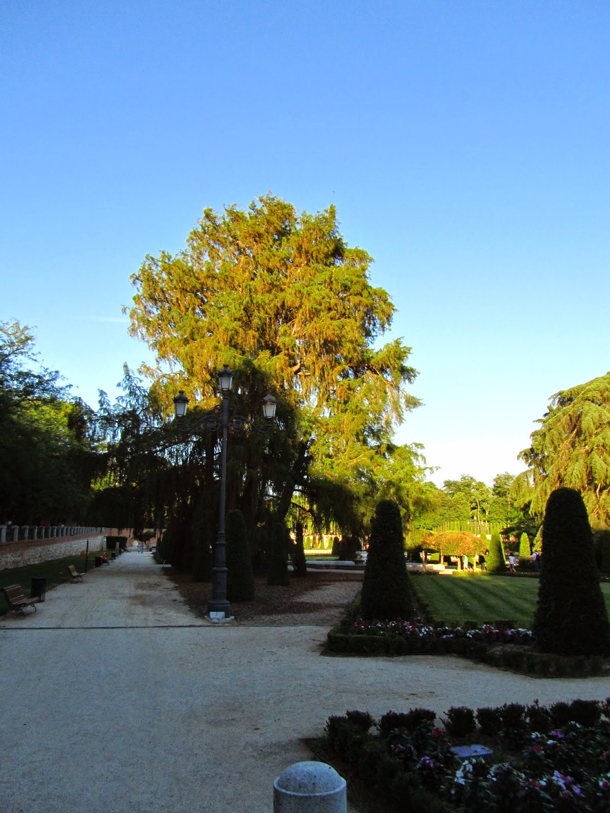 Tierra de Violetas: junio 2014