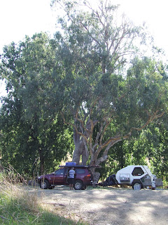 aussie trip 2013: ...the car saga continues but end in sight...
