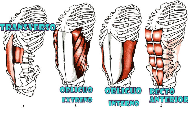 Fitness y salud con Inma Enrimon: CORE ,QUE ES Y COMO FORTALECERLO