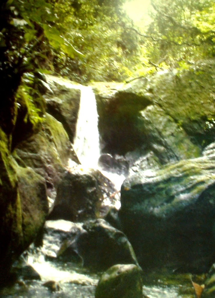 Tangkahan, The Hidden Paradise Of Sumatra - Pariwisata Sumut