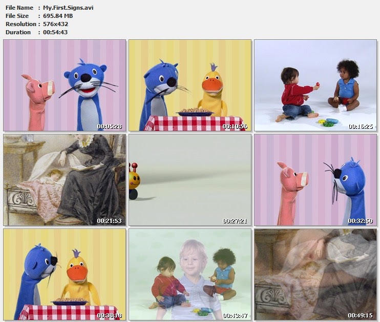 MOVIES AND MORE . . . .: Baby Einstein: My First Signs