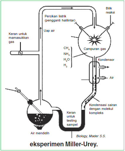 Teori Asal Usul Kehidupan (Teori Abiogenesis, Biogenesis, Kosmozoan ...
