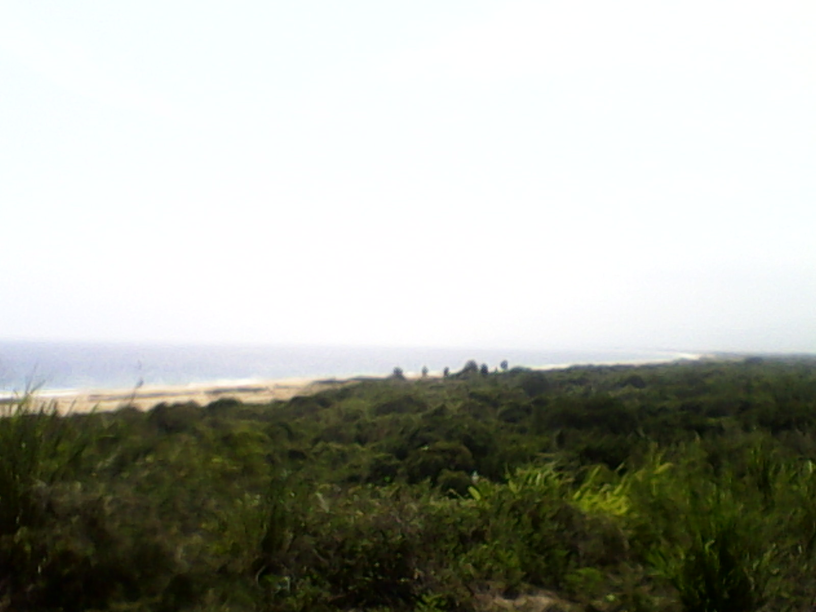 Puerto Escondido Oaxaca surfing Informaciòn turìstica: Punta Colorada ...