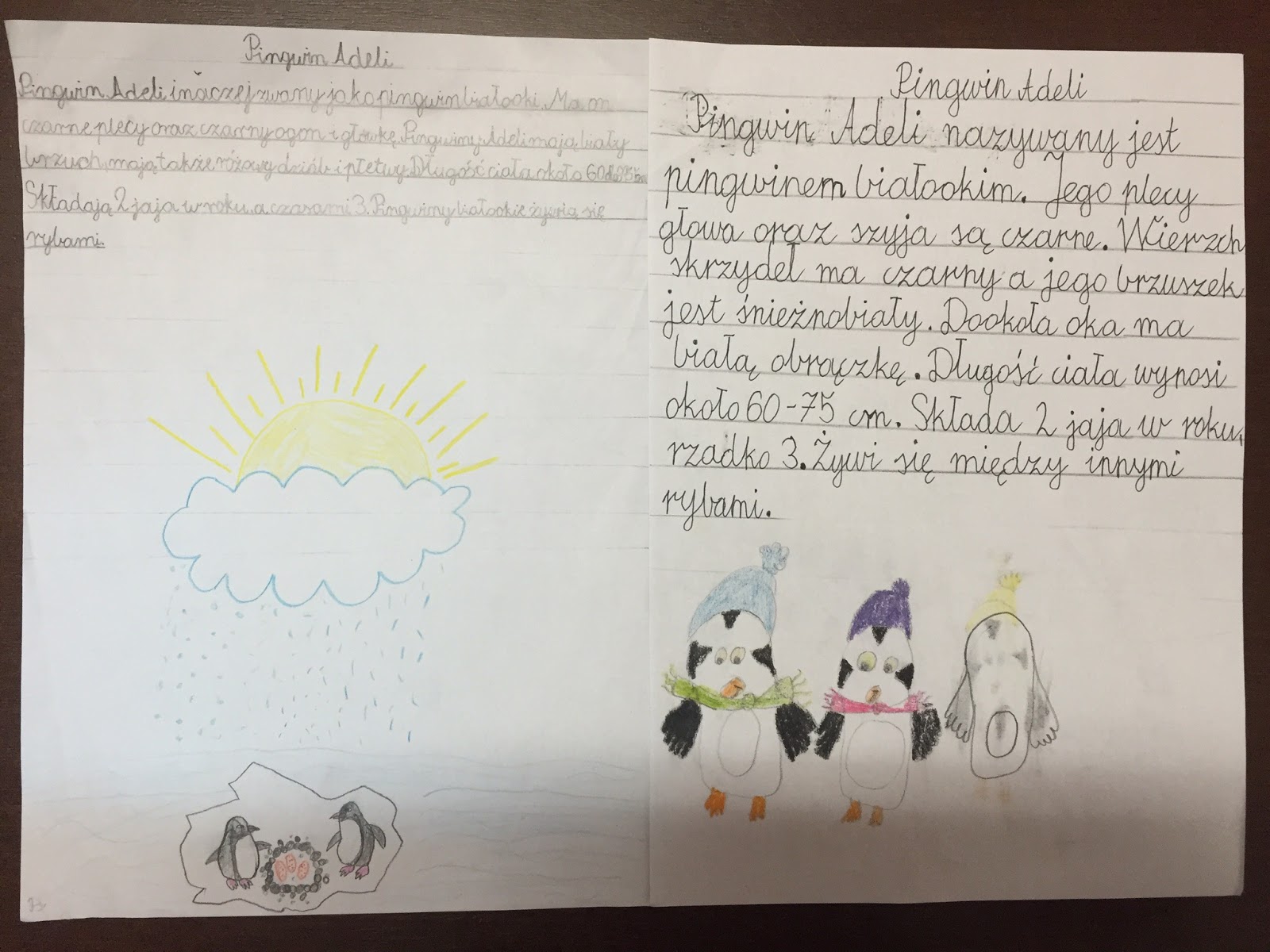 Pod lupą : Pingwiny Adeli