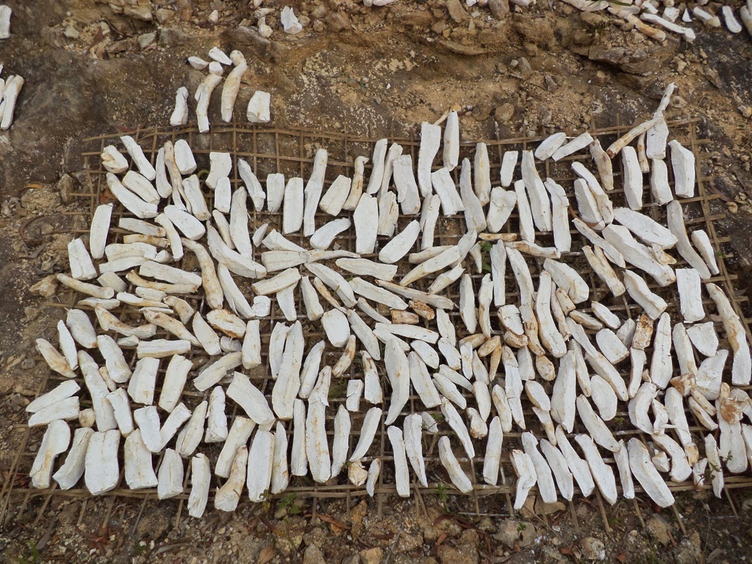 Perjalanan dan Rutinitas: Cara Membuat Gaplek