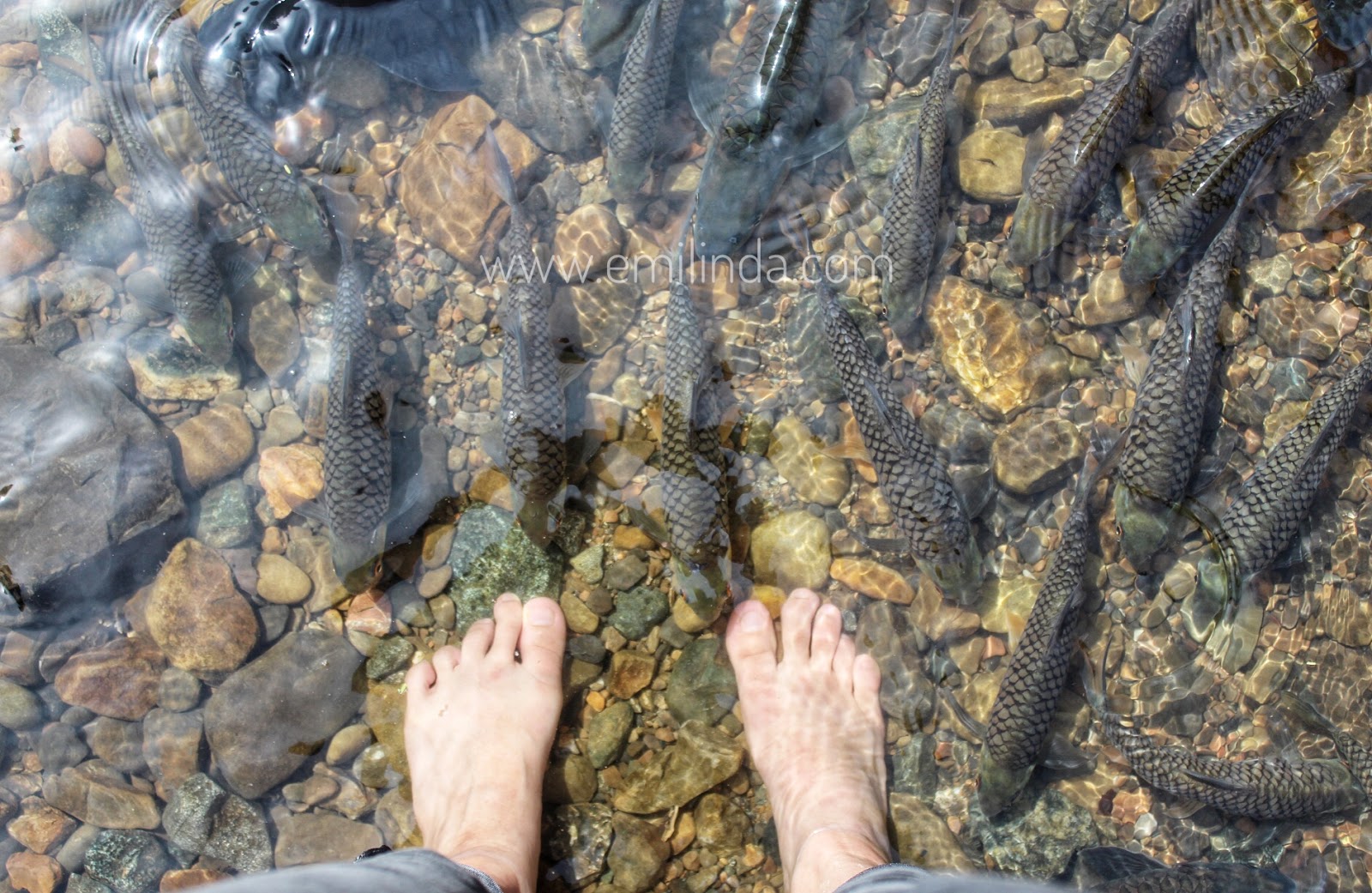 Pengalaman Berkunjung ke Tagal Fish Spa, Sungai Moroli - emilinda