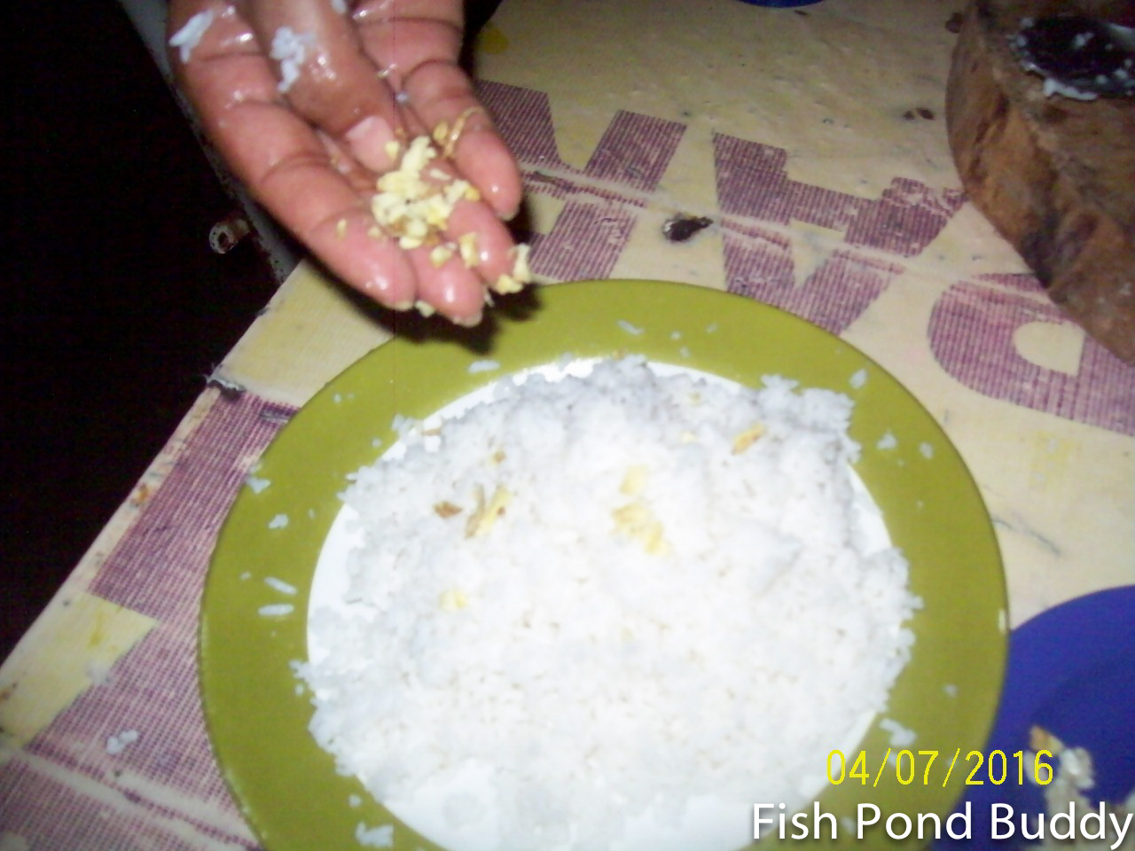Fish Pond Buddy: How to Make Fermented Rice-Fish Mix ("Buro") at the ...