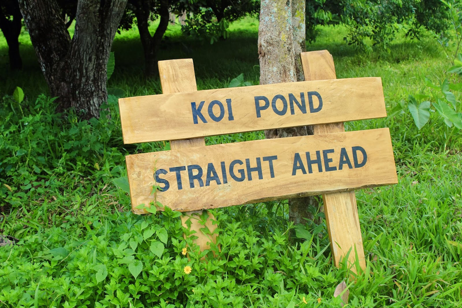 The Peripatetic's Journey: Bantug Lake Ranch