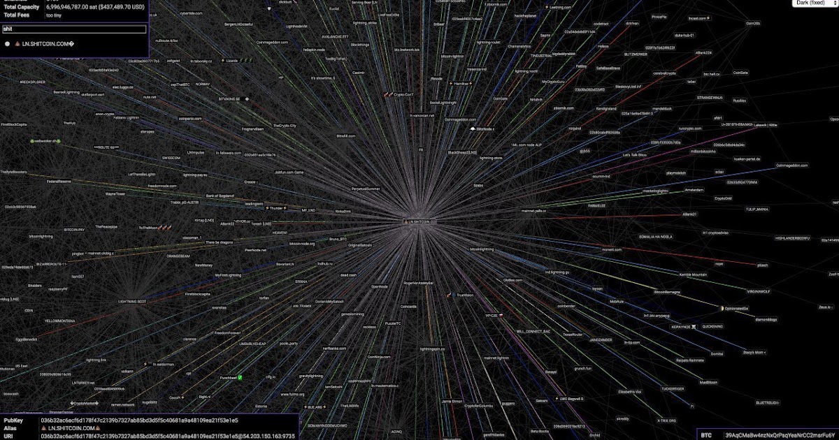 DSHR's Blog: Shitcoin And The Lightning Network