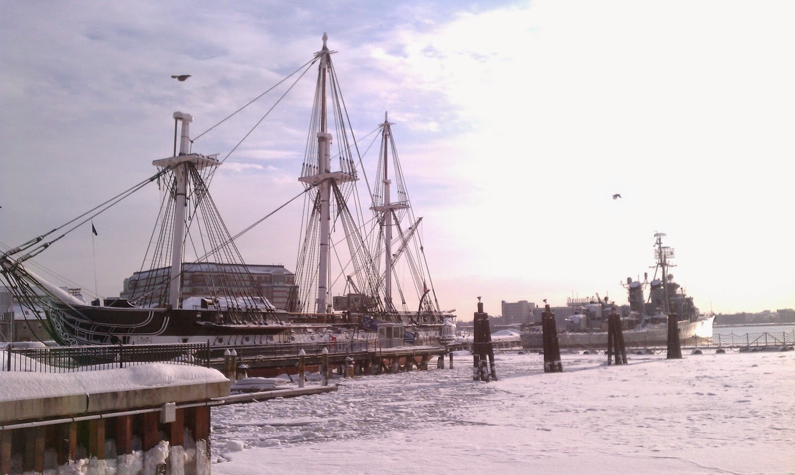 Nat in the Hat: So. Much. Snow.